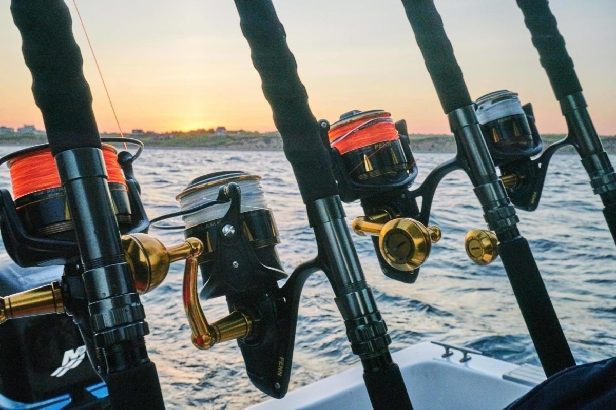 Breve guida alla pesca a traina veloce: le basi | HiNelson
