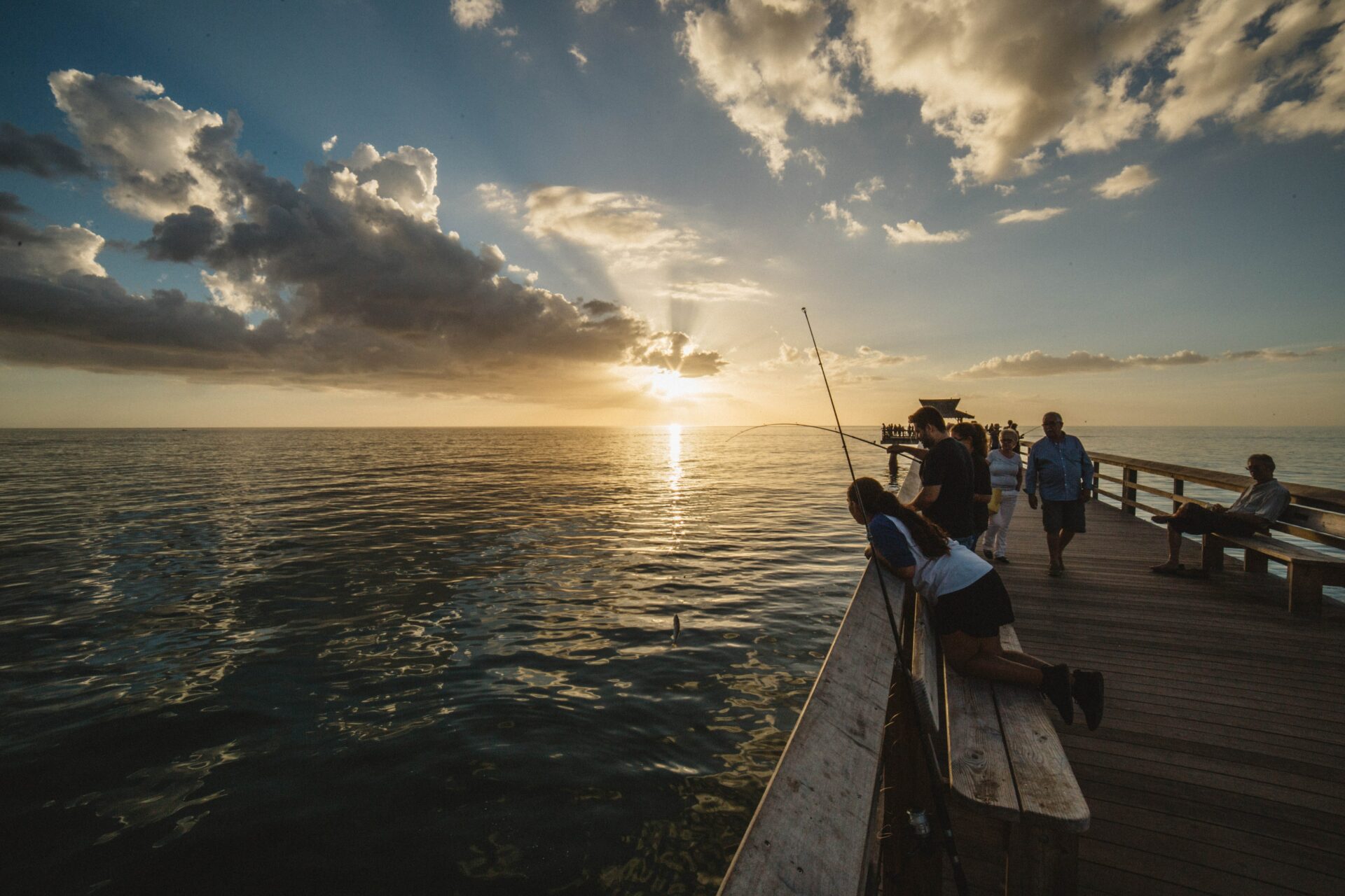 Leccia Amia: Pesca, Spinning e Consigli