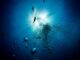 Pesca in apnea subacquea: tecniche e attrezzature da pro | HiNelson
